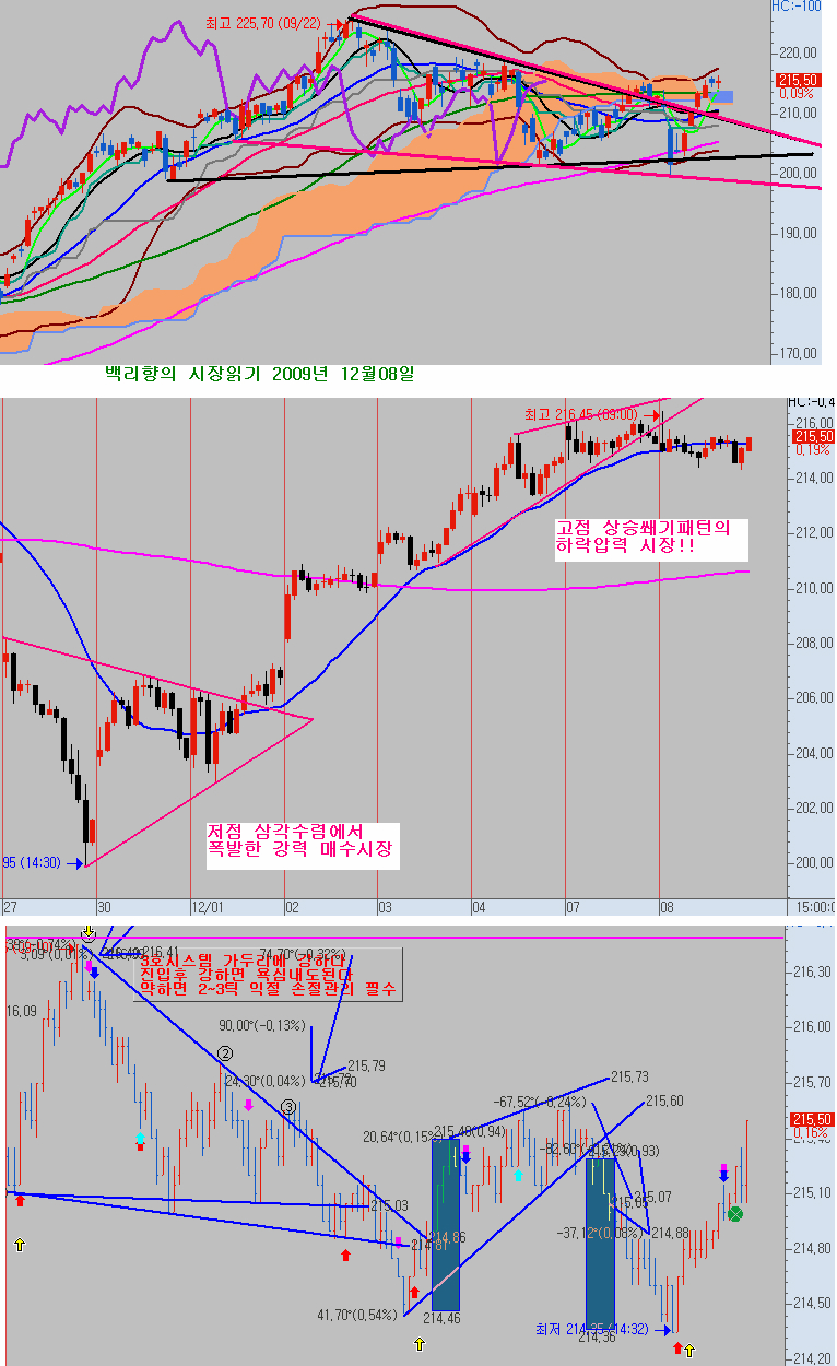 백리향의 시장읽기 12월8일 만기를 이틀 앞둔 눈치보기 장세 선옵전문가분석 선물옵션 팍스넷 증권포털